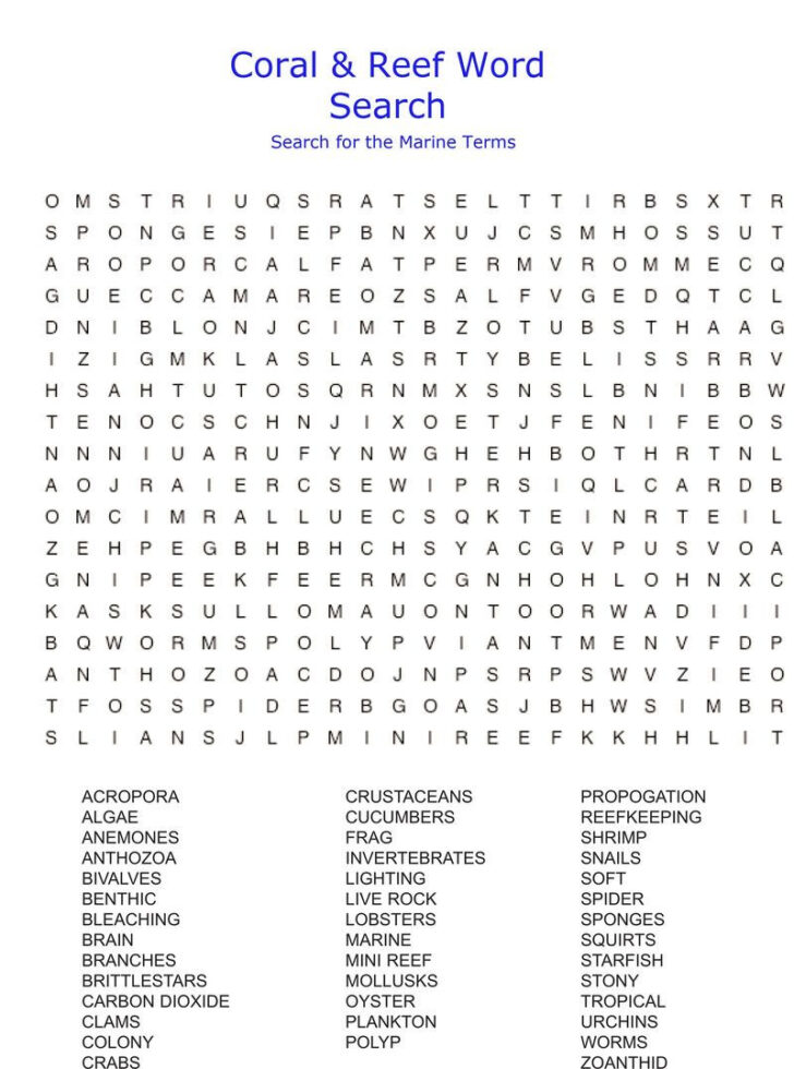 6th Grade Word Search Puzzles Printable Word Search Printable ...