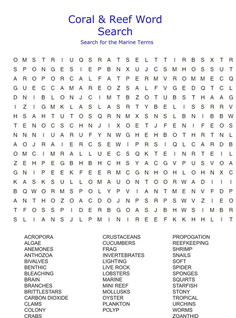 6th Grade Word Search Printable Printable Word Search